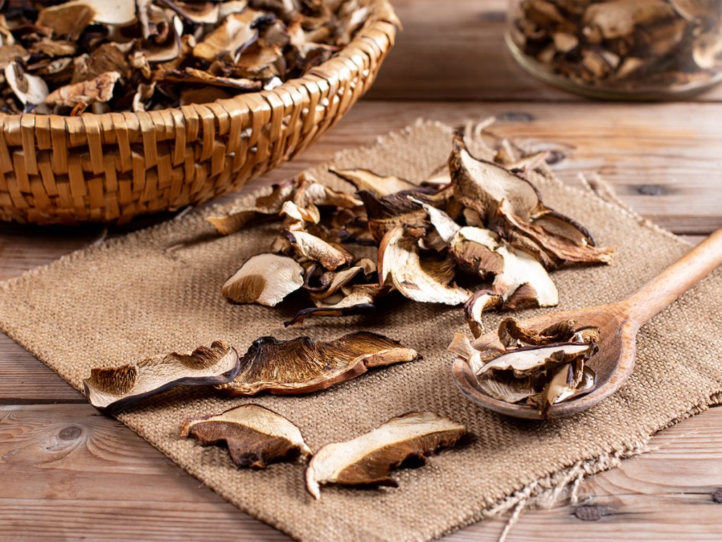 Kako pravilno shranimo gobe? (vsi načini shranjevanja) | 1001ideja.si